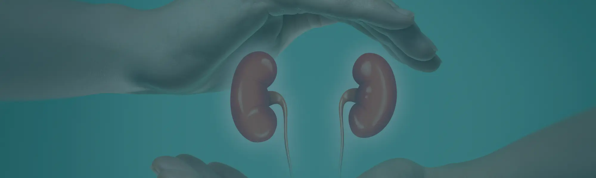 Nephrology Medical Billing Bay Shore NY - Get Best Support